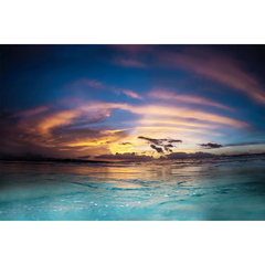FRAMED CANVAS BLUE HAWAII / Clark Little（クラークリトル）のOpen Canvas通販 ...